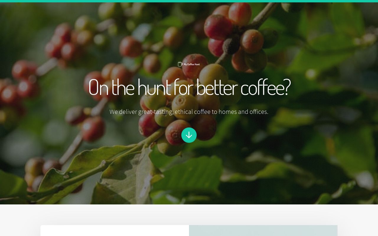 My Coffee Hunt - Ethical coffee for your home and office
